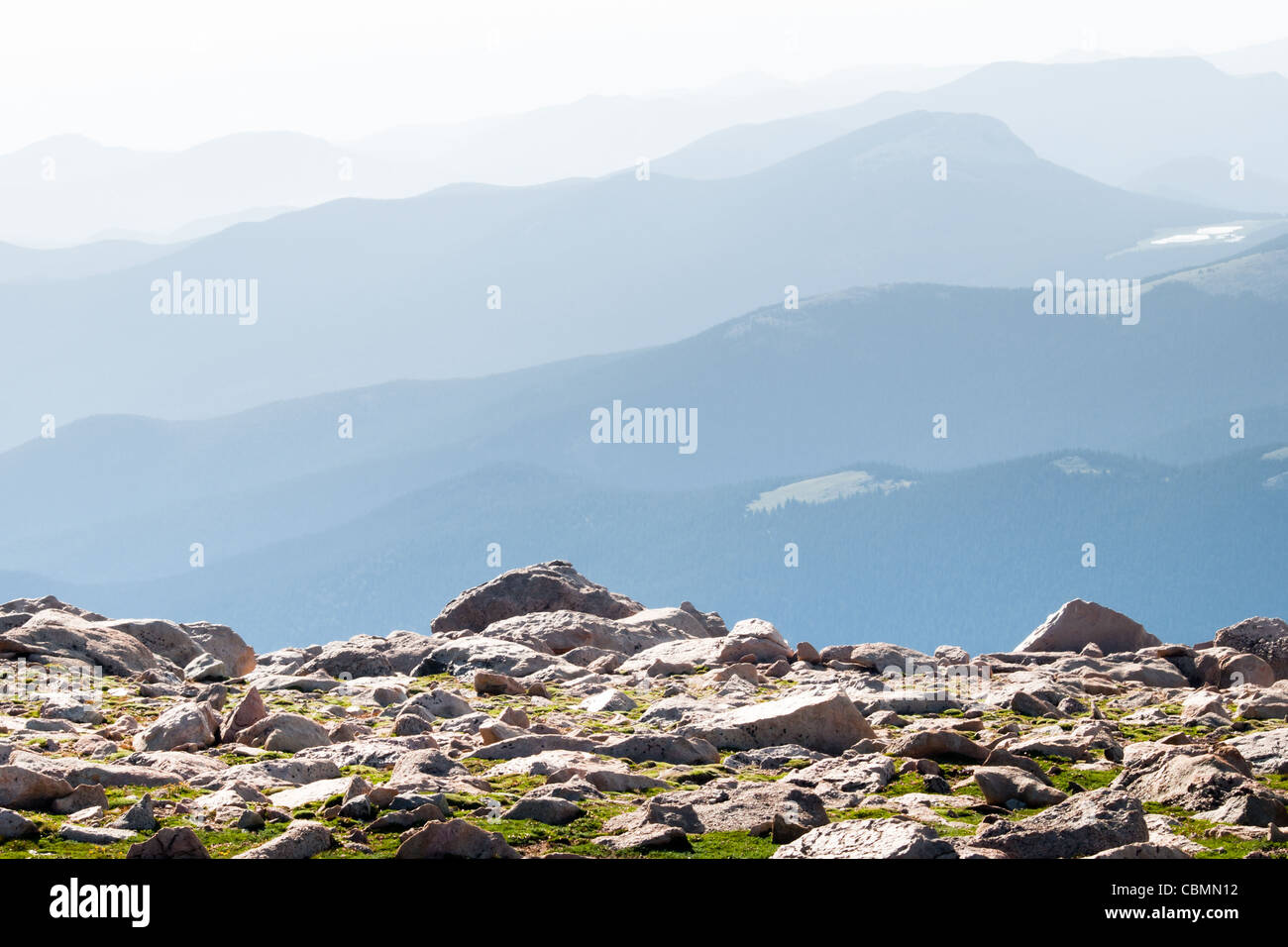 La faune du mont evans Banque de photographies et d’images à haute ...