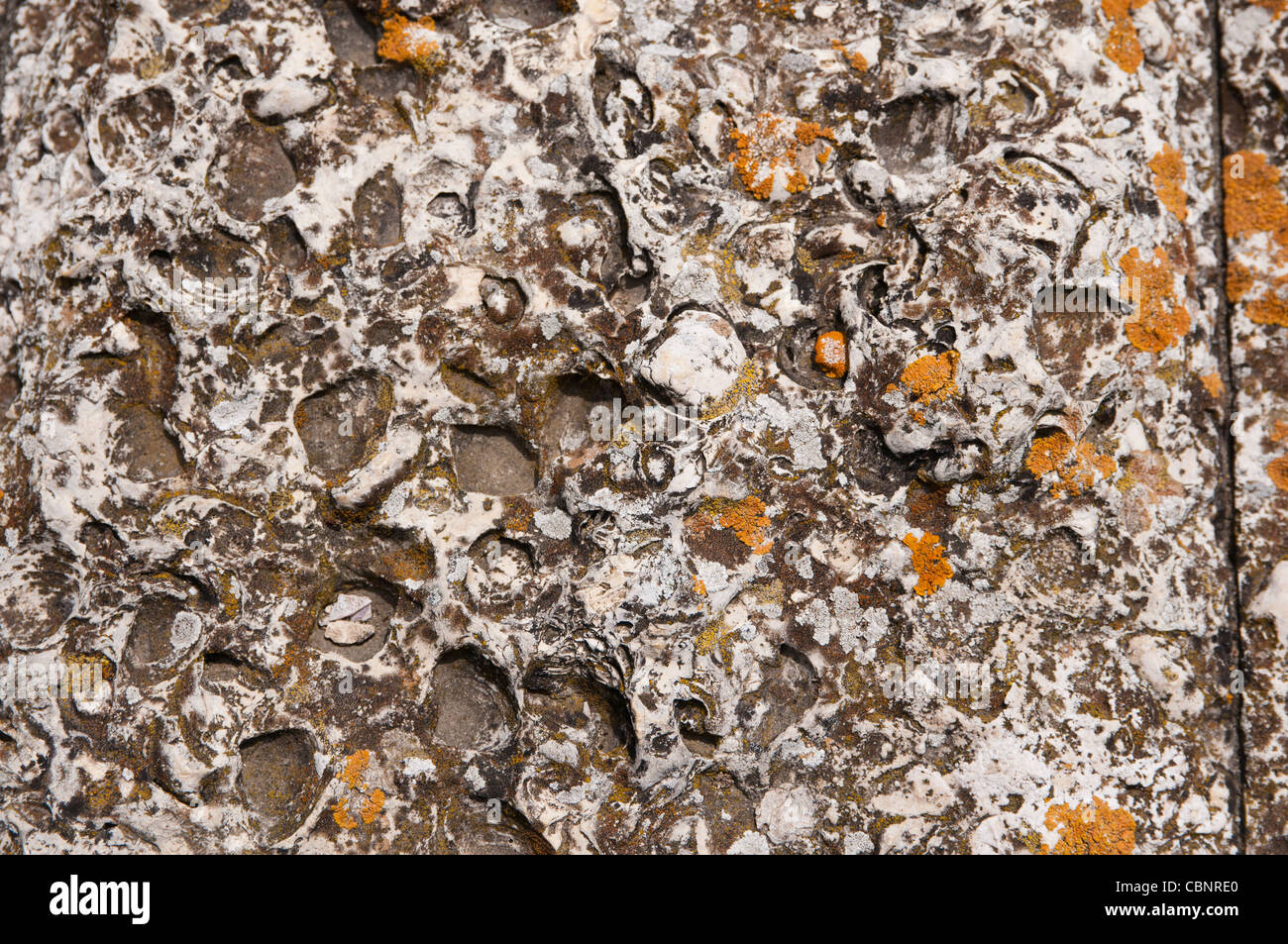 Erosion pattern Banque de photographies et d’images à haute résolution ...