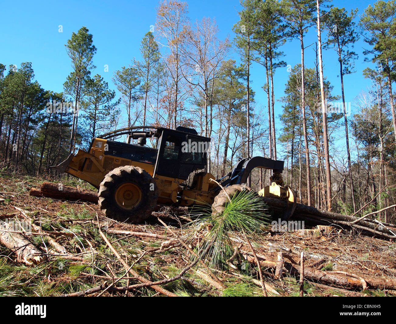 Tree skidder Banque de photographies et d’images à haute résolution - Alamy