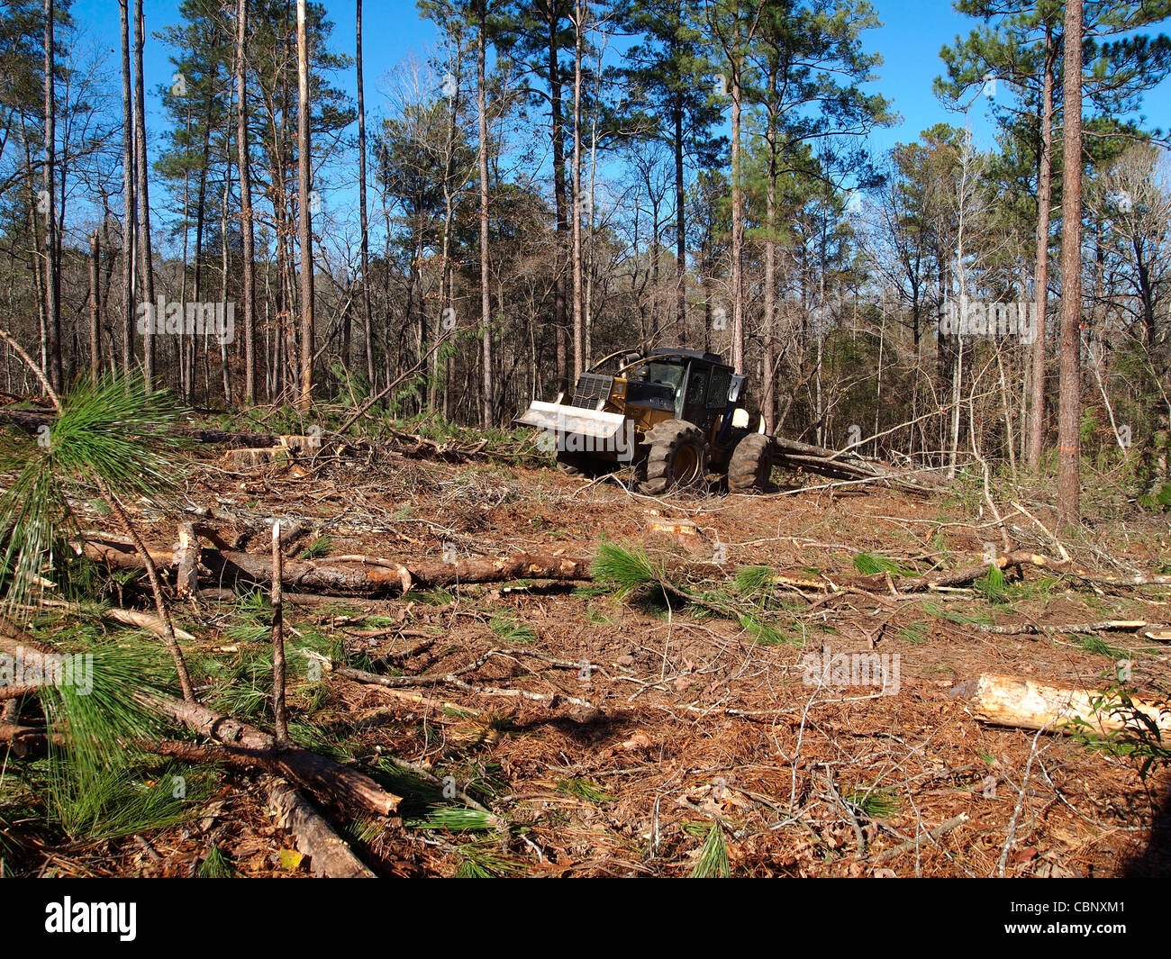 Tree skidder Banque de photographies et d’images à haute résolution - Alamy