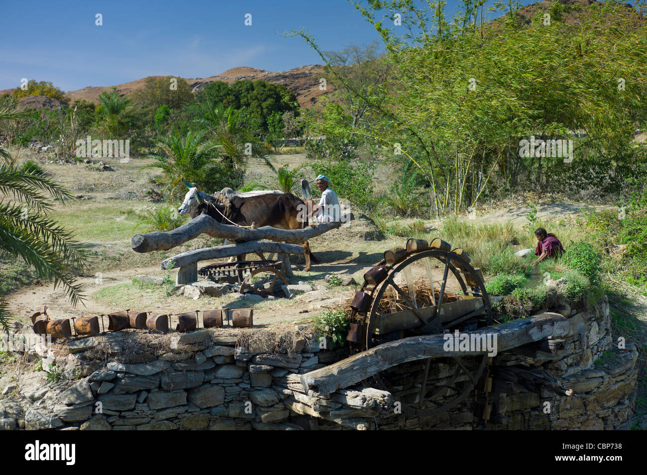 Rajasthan irrigation Banque de photographies et d’images à haute ...