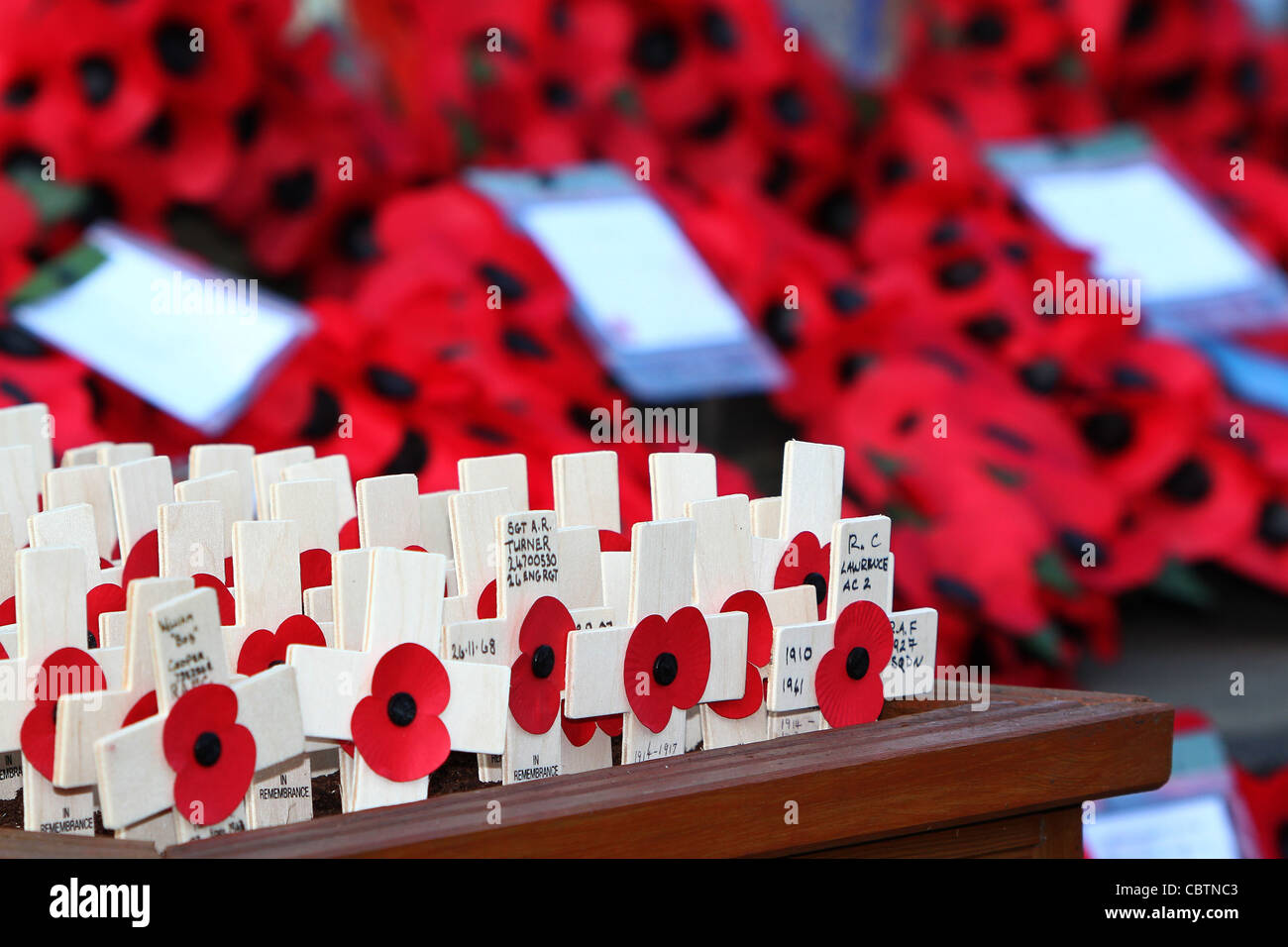 Coquelicots du jour du souvenir Banque de photographies et d’images à ...
