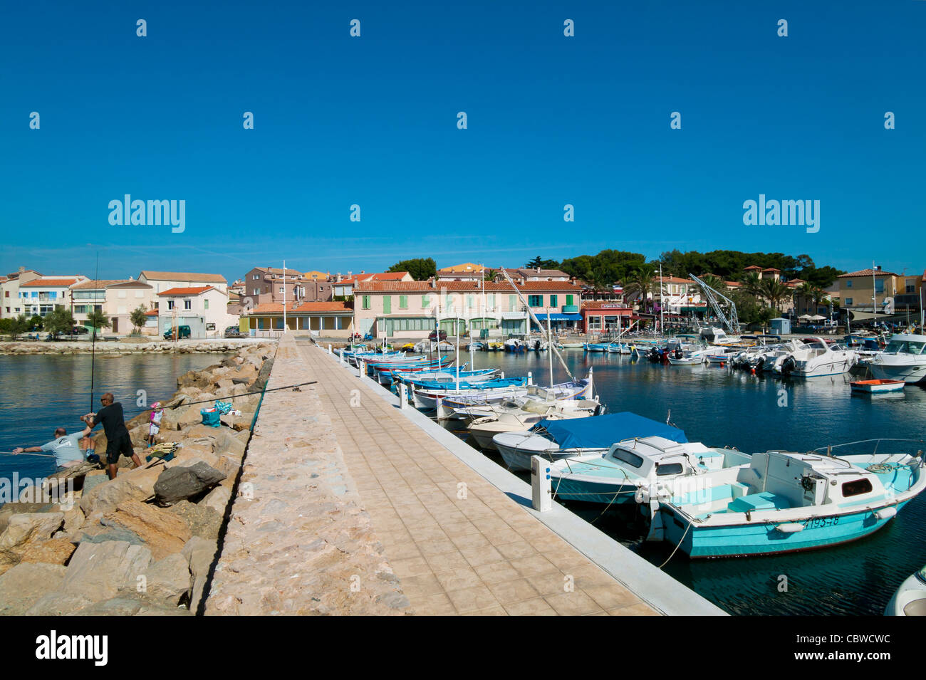 Le brusc Banque de photographies et d’images à haute résolution - Alamy