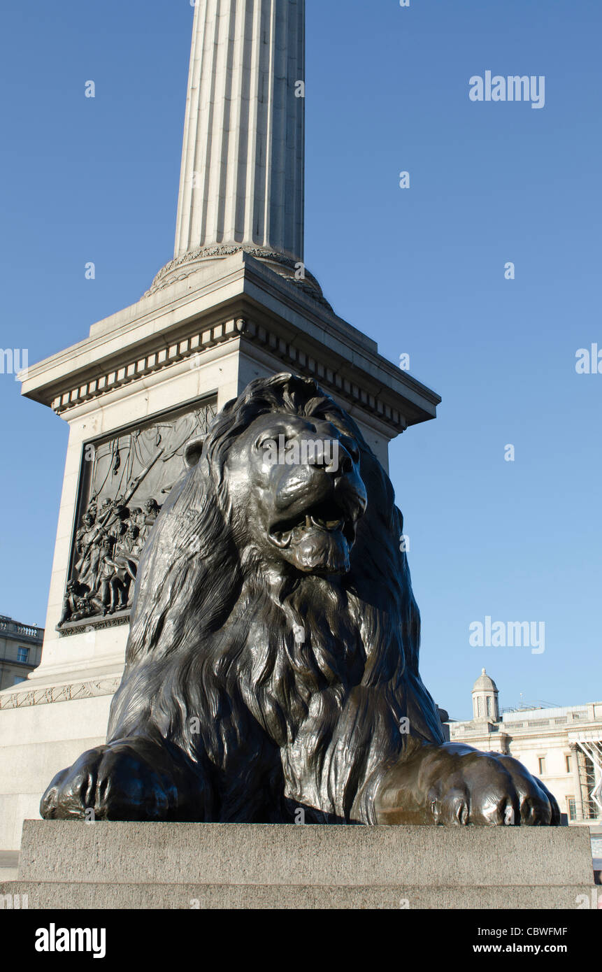 Lion Nelsons Colonne Trafalgar Square Banque d'image et photos - Alamy