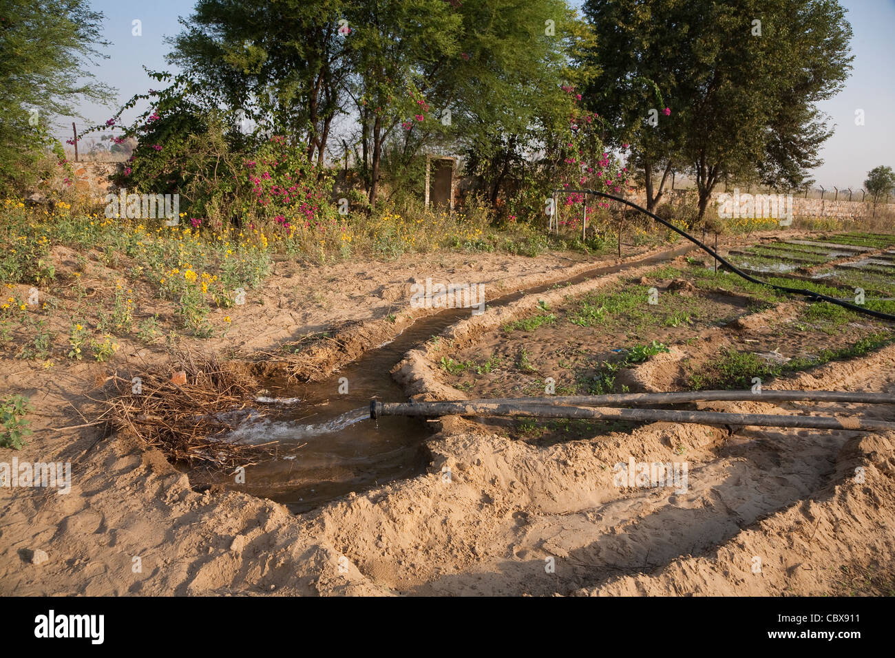 Rajasthan irrigation Banque de photographies et d’images à haute ...