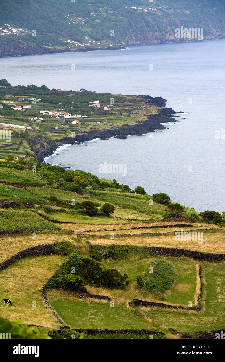 Lajes do pico Banque de photographies et d’images à haute résolution ...