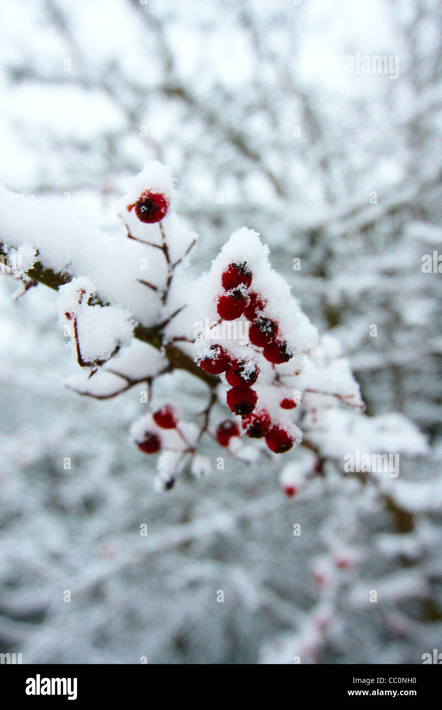 Notes techniques Banque de photographies et d’images à haute résolution ...