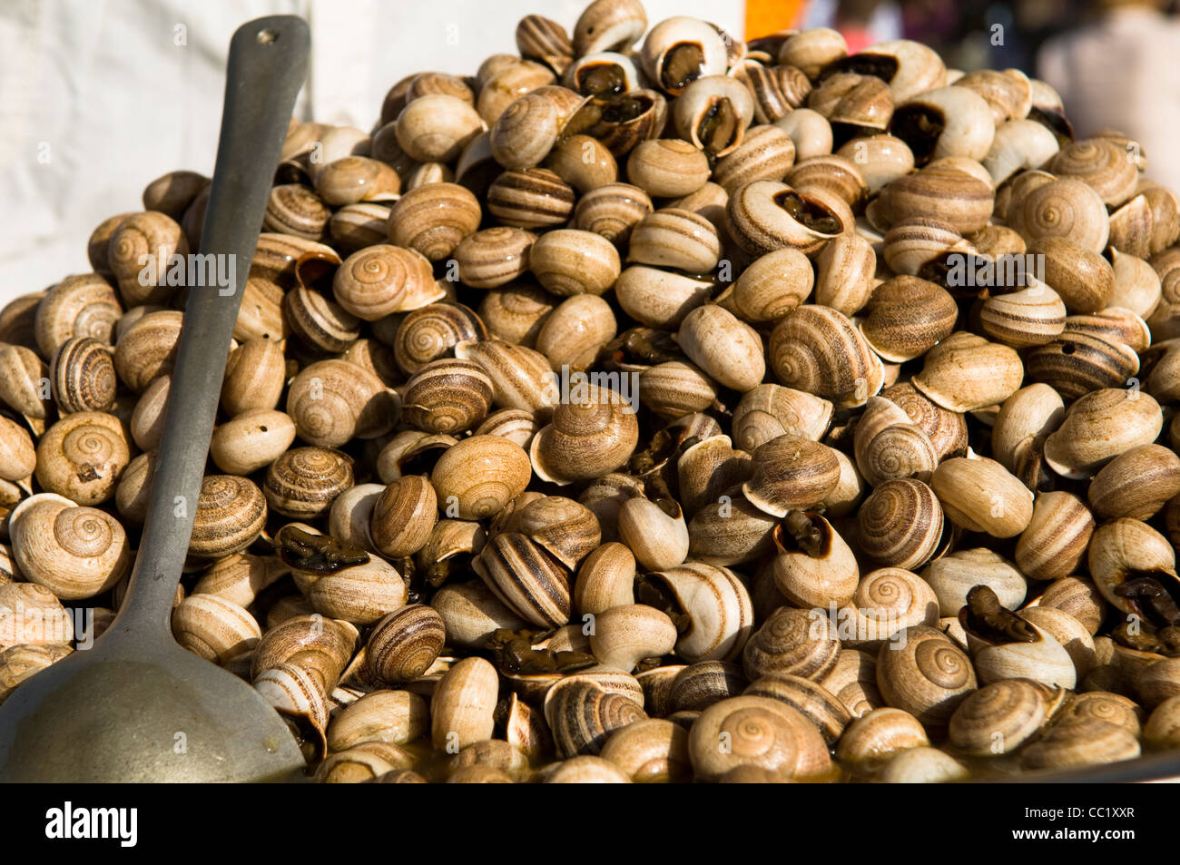 Escargots de marrakech Banque de photographies et d’images à haute ...