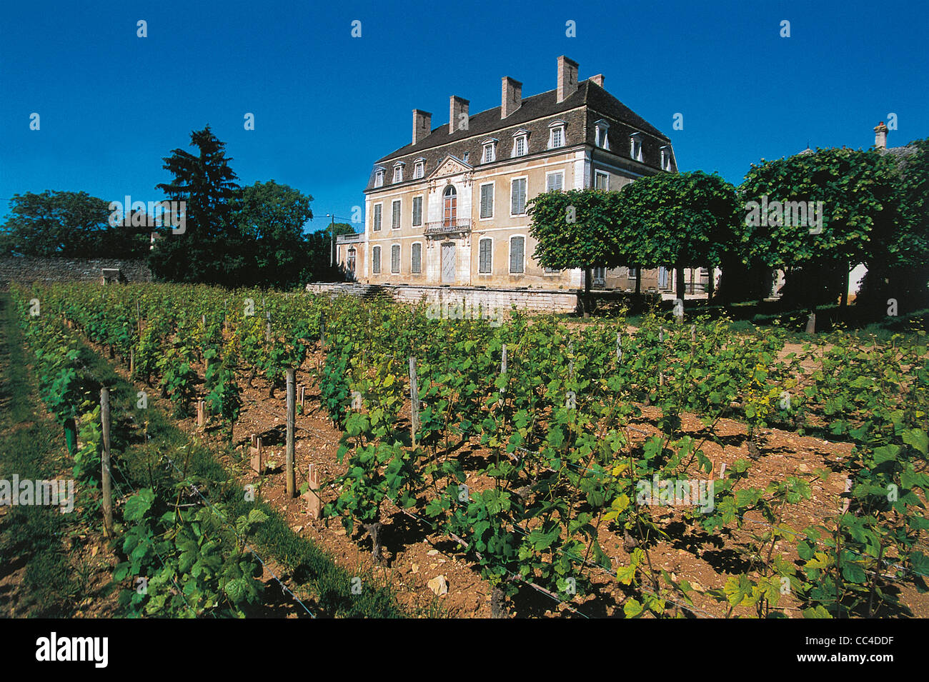 Marey france Banque de photographies et d’images à haute résolution - Alamy