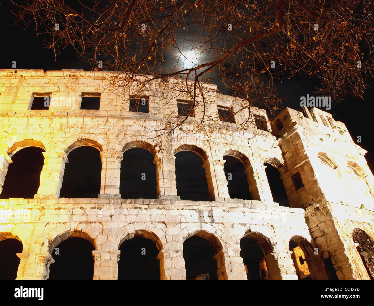 The colloseum Banque de photographies et d’images à haute résolution ...