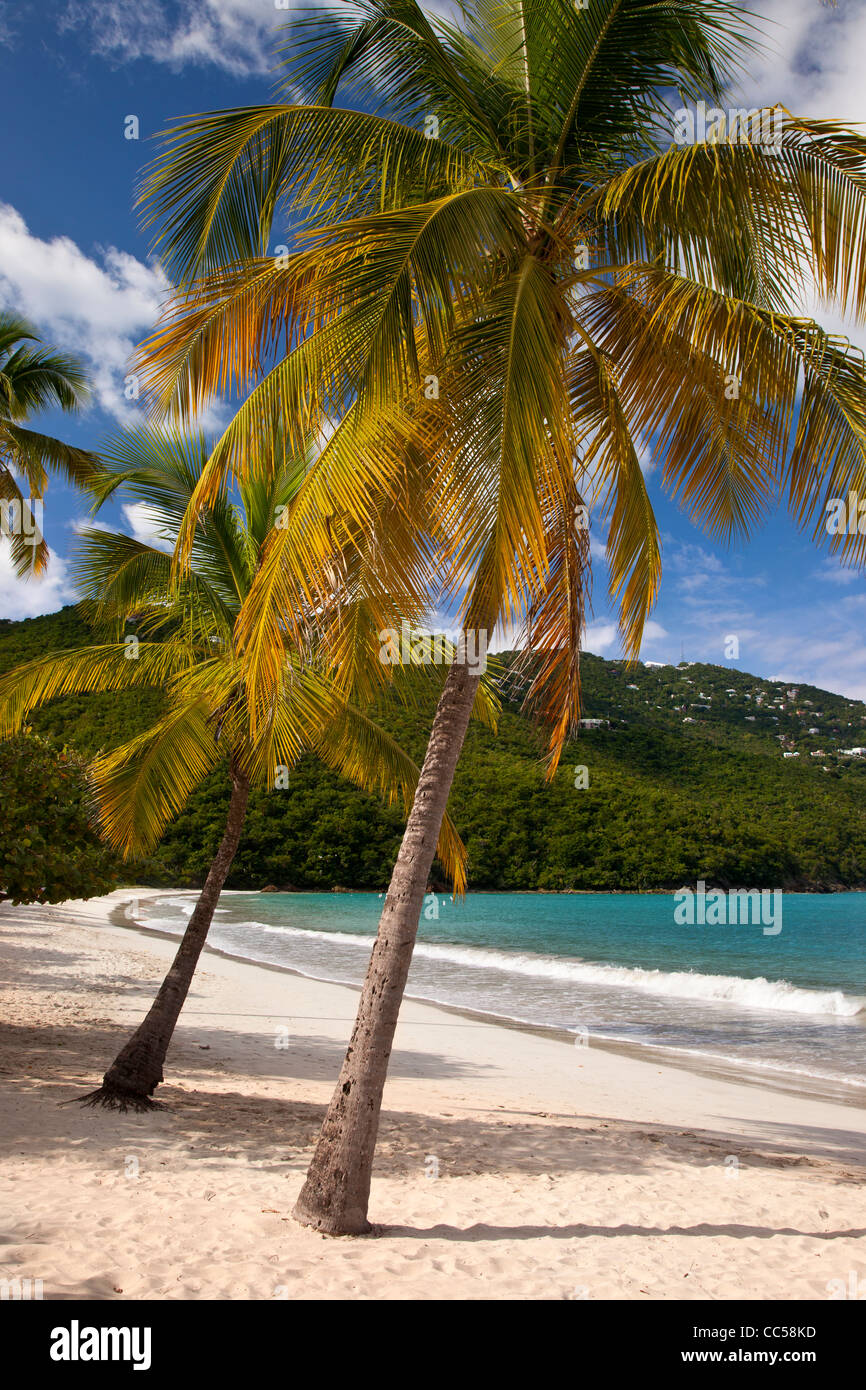 Eau et plage de megans bay Banque de photographies et d’images à haute ...