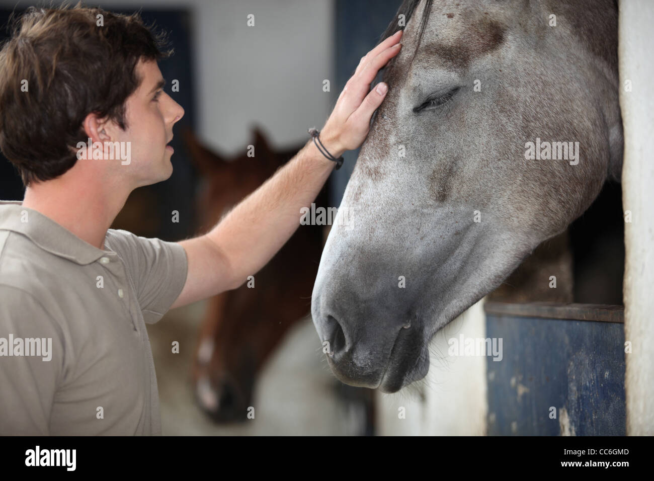 Lien de cheval humain Banque de photographies et d’images à haute ...