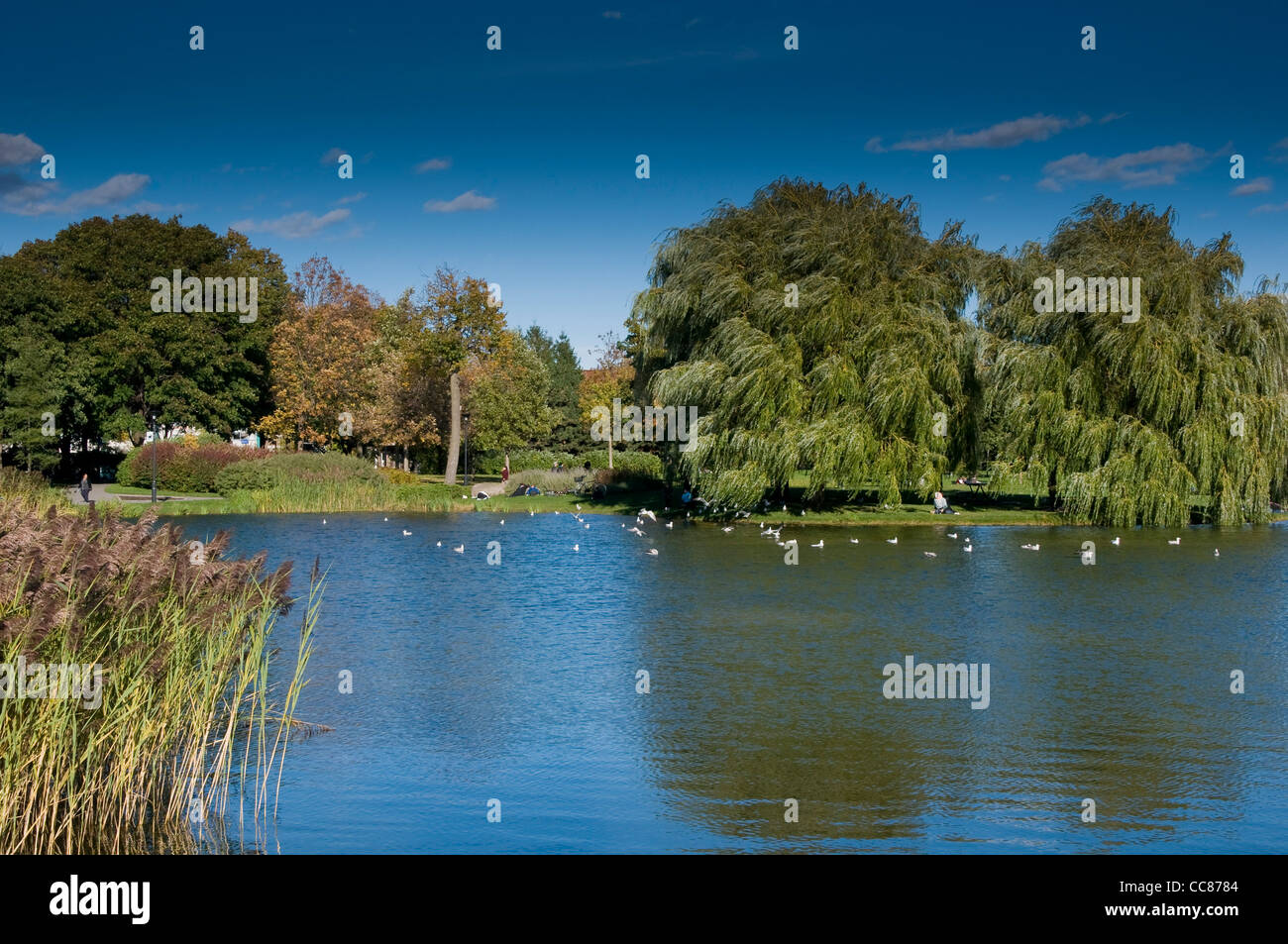 Parc De Jarry Banque d'image et photos - Alamy