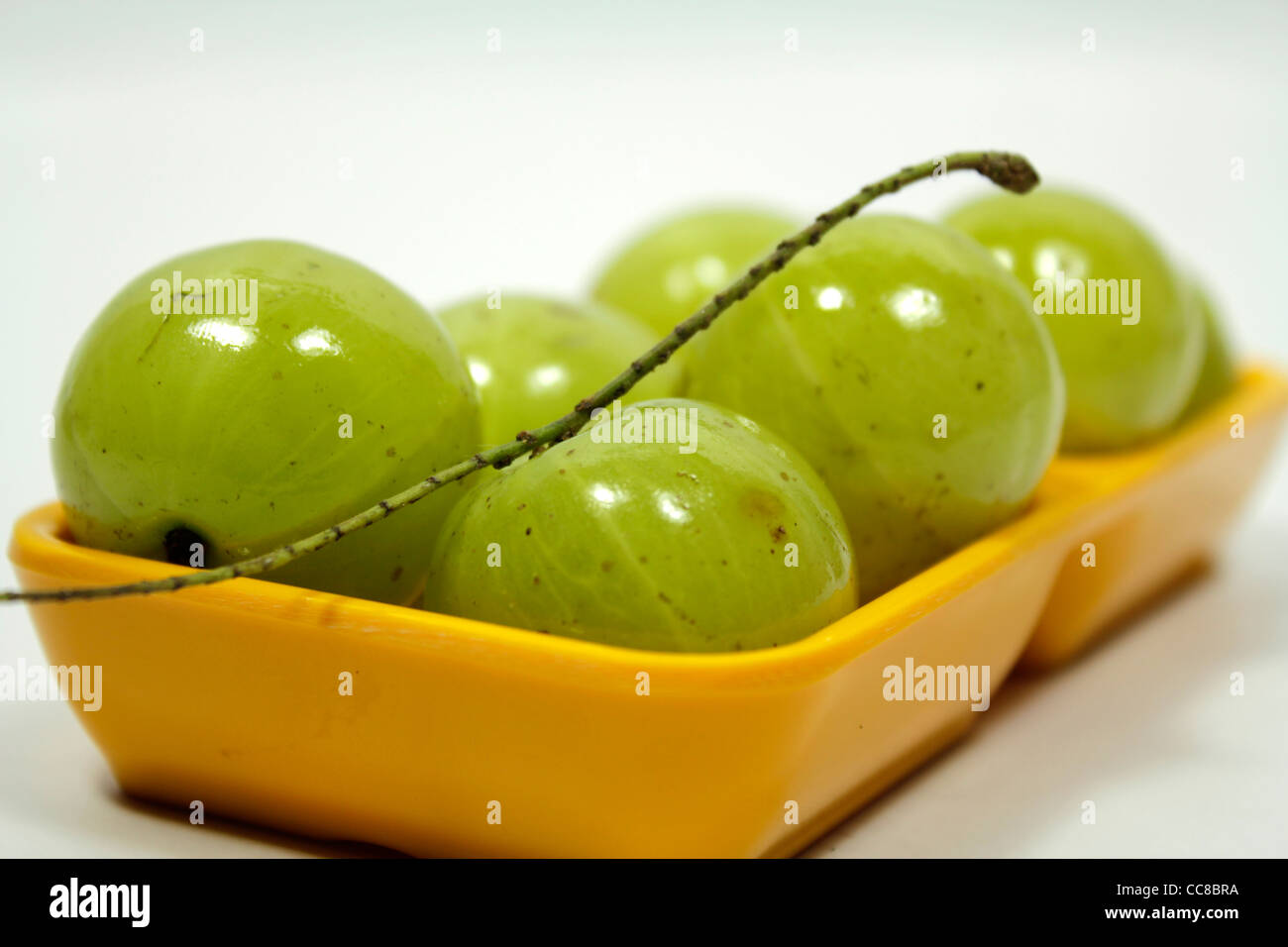 Famille De Groseille Banque d'image et photos - Alamy