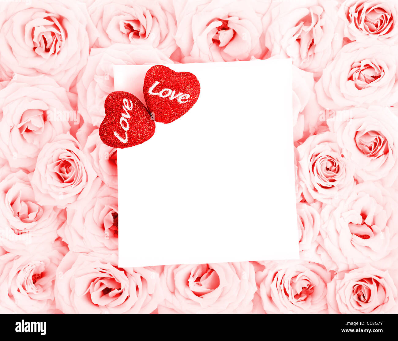 Roses rose coeur rouge sur un fond blanc et carte de souhaits, l'amour ...