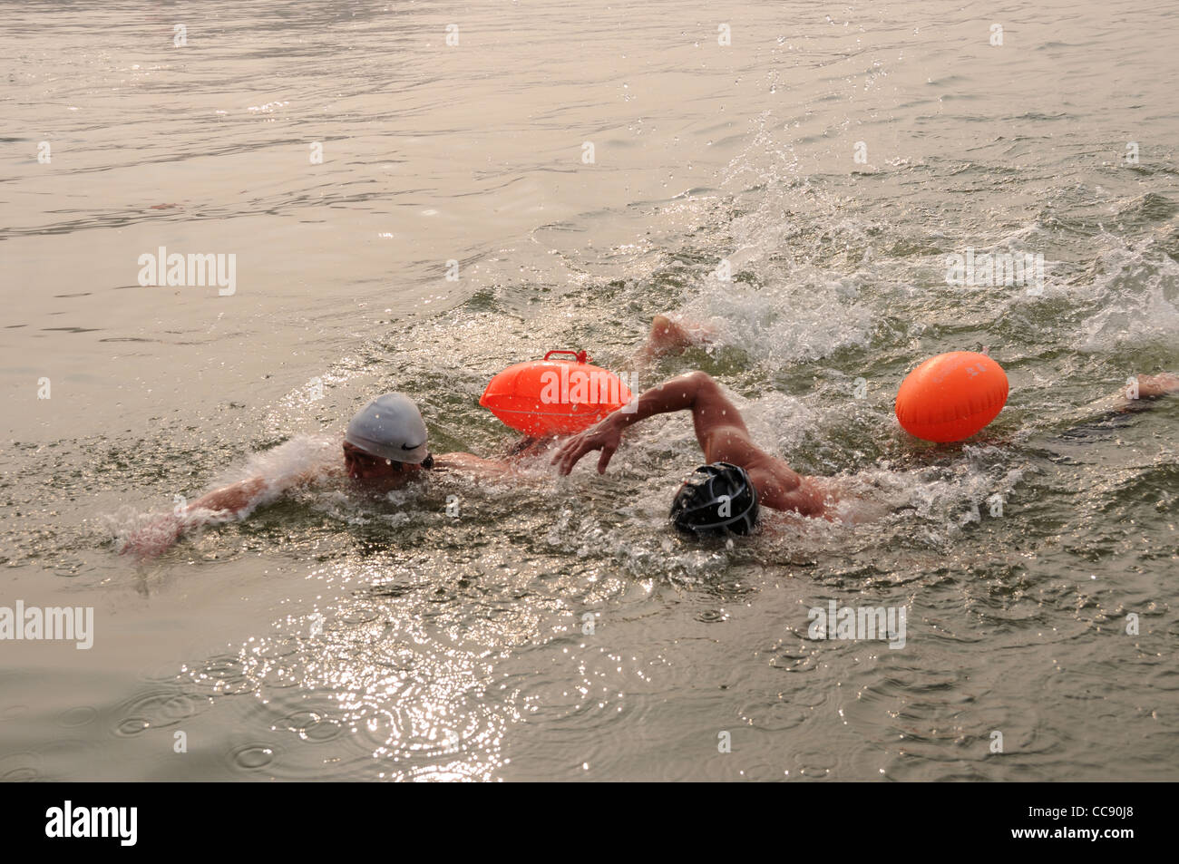 Course de natation Banque de photographies et d’images à haute ...