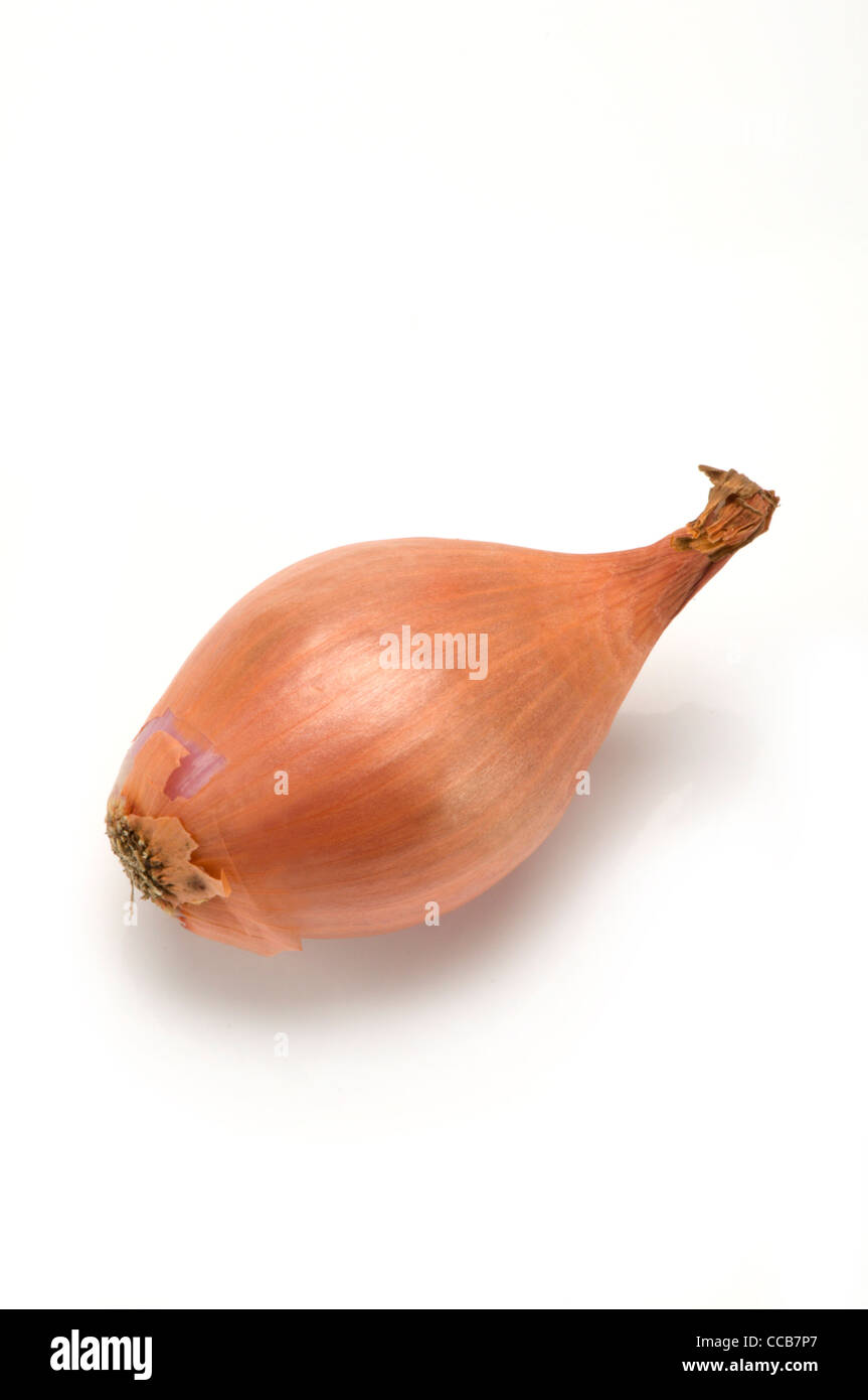 échalote française Banque de photographies et d’images à haute ...