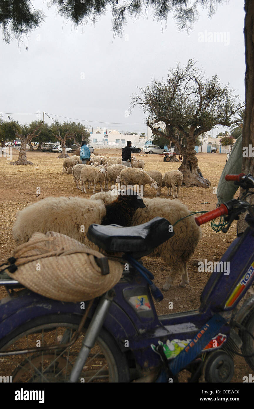 Market midoun tunisia Banque de photographies et d’images à haute ...