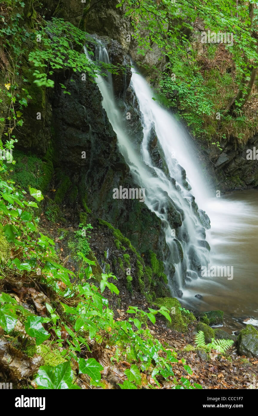 Cascade de la Fairy Glen, Rosemarkie, en Écosse Photo Stock - Alamy