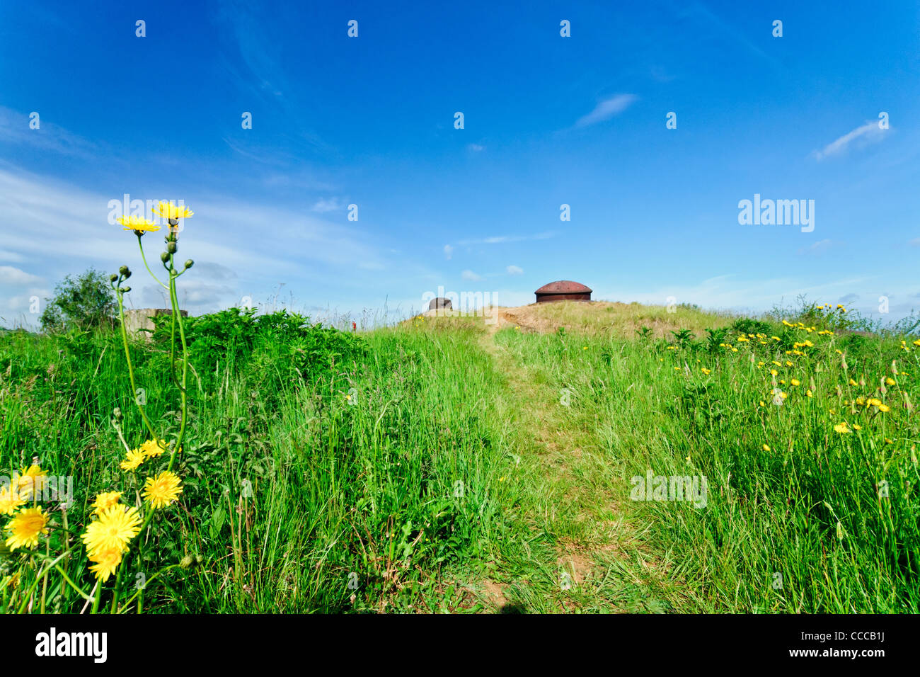 Maginot line fortification france Banque de photographies et d’images à ...