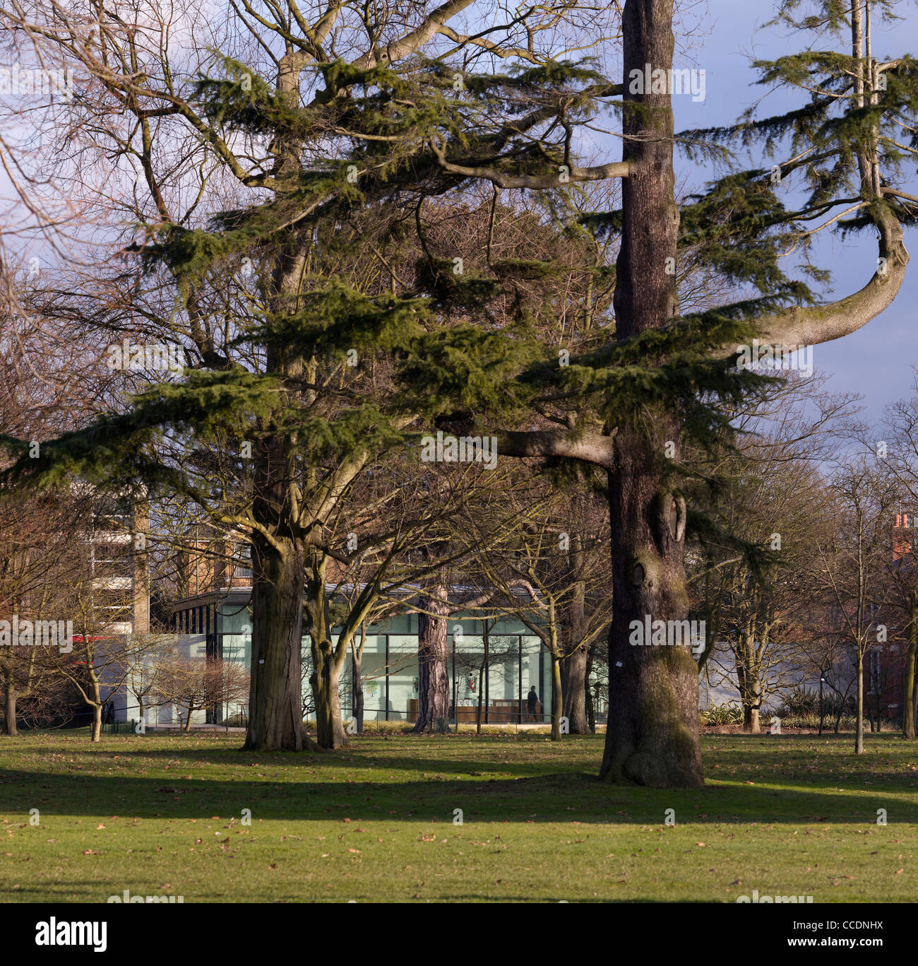 SHIRLEY SHERWOOD GALLERY WALTERS ET COHEN Royal Botanic Gardens KEW ...