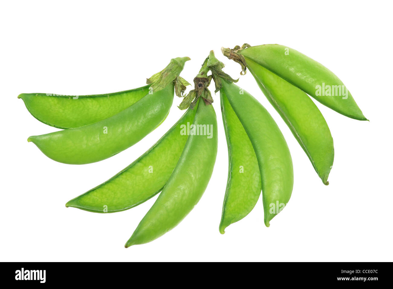 Sugar snap peas Banque de photographies et d’images à haute résolution - Alamy