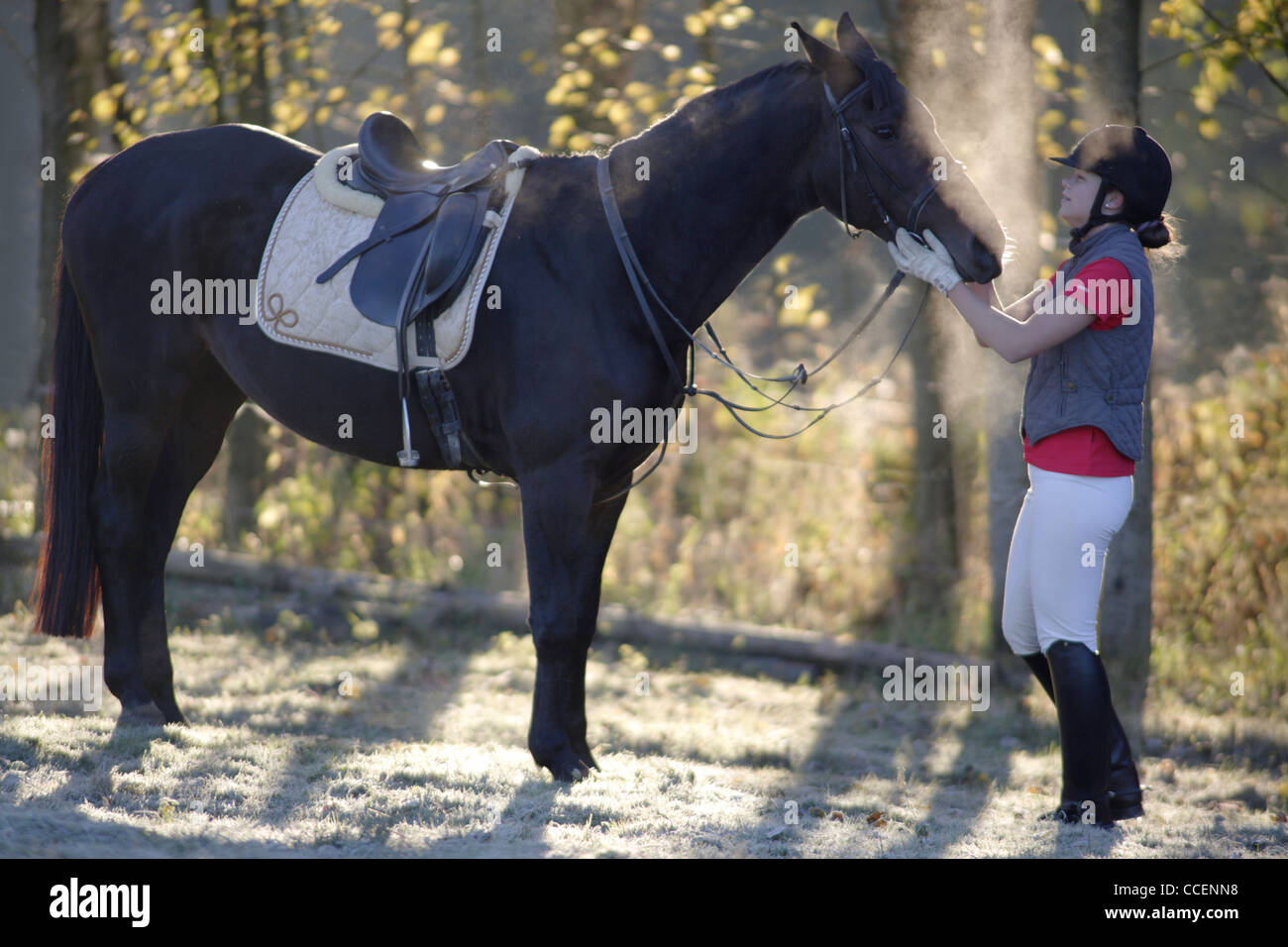 Femme et cheval Banque de photographies et d’images à haute résolution ...