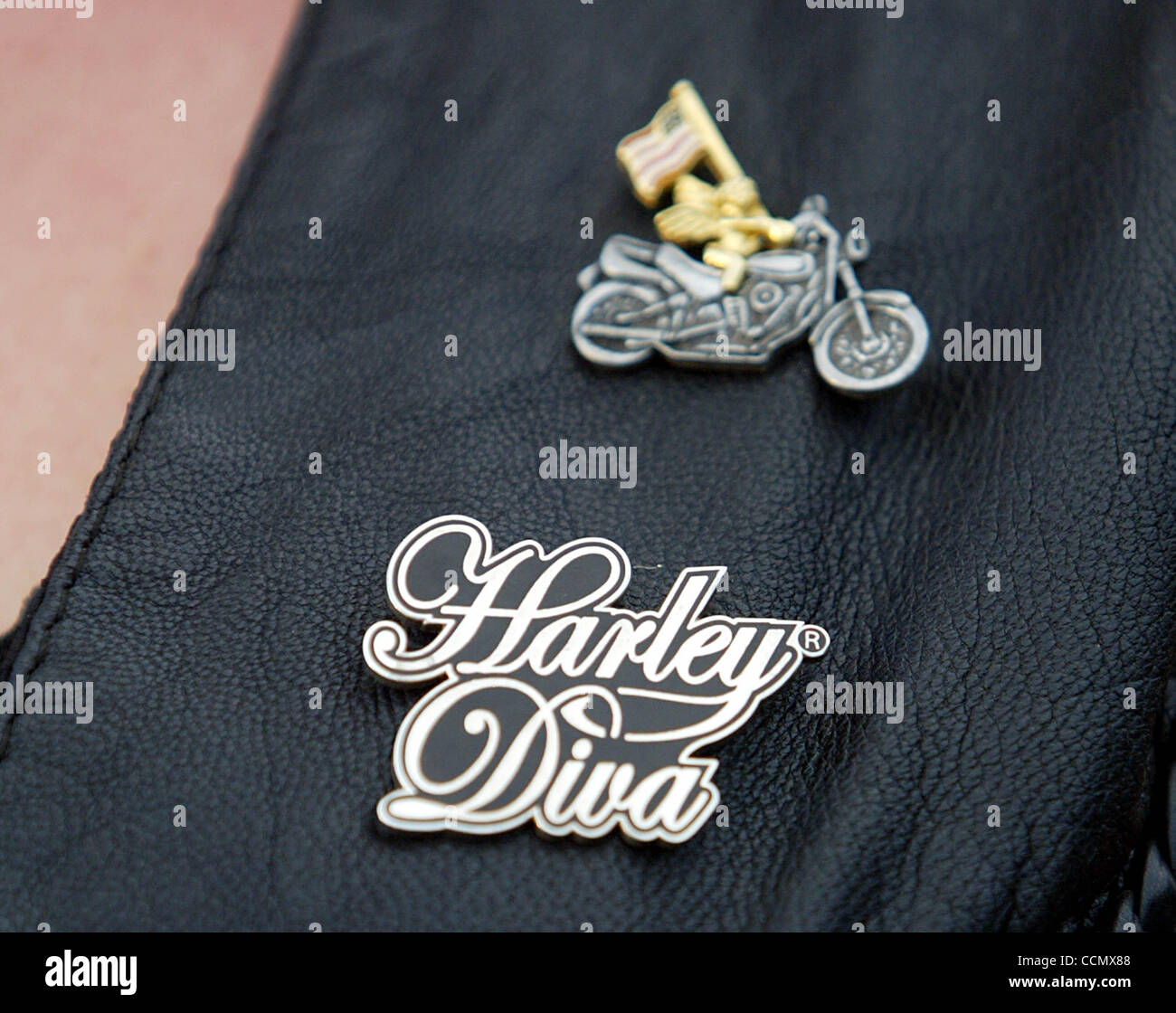 Harley davidson sportster 1200 custom Banque de photographies et d ...