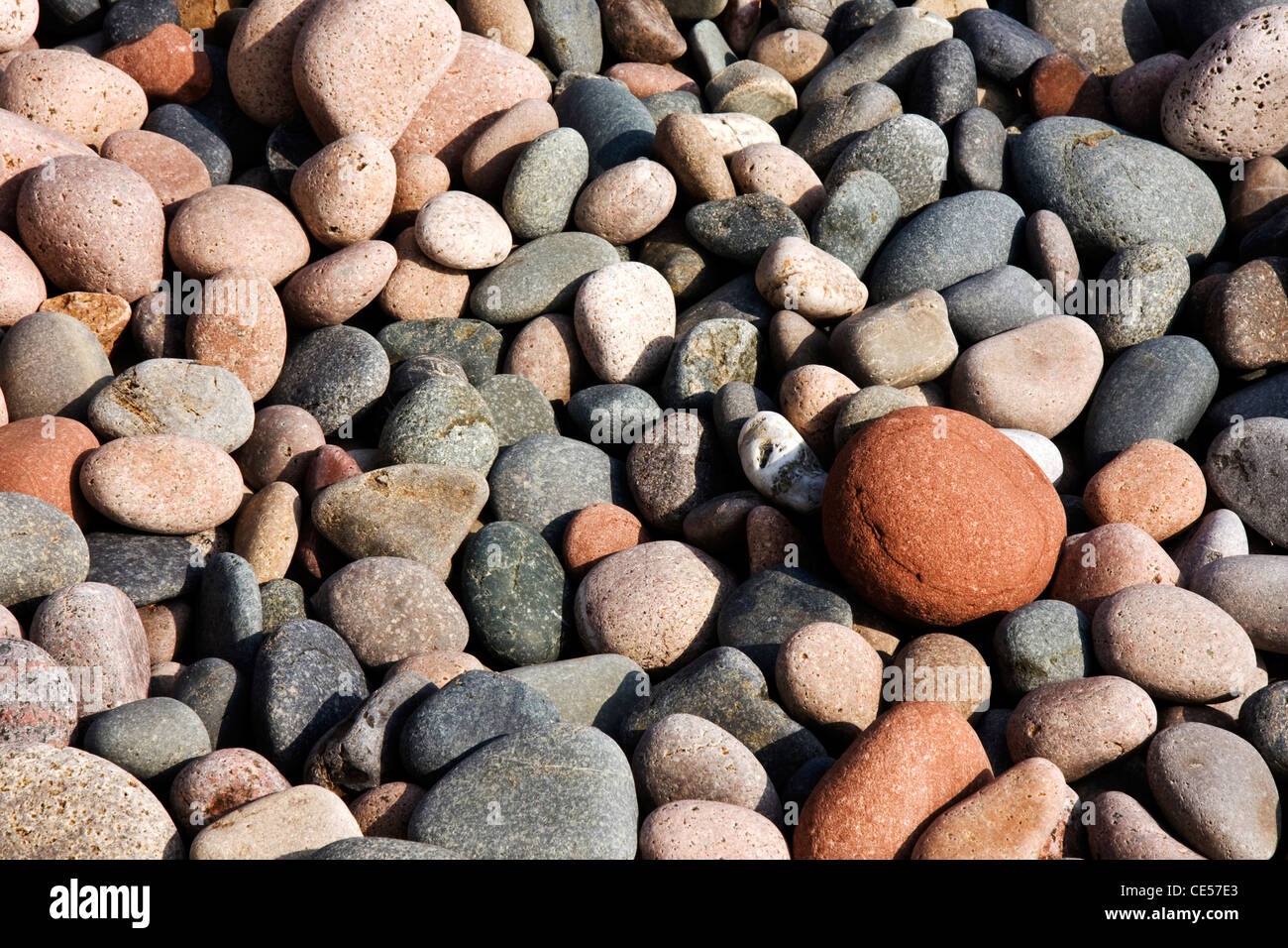 Cailloux sur une plage Banque de photographies et d’images à haute ...