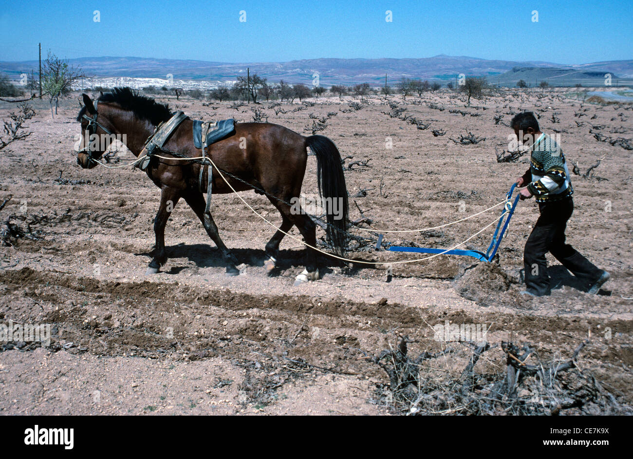 Horse drawn plough Banque de photographies et d’images à haute ...