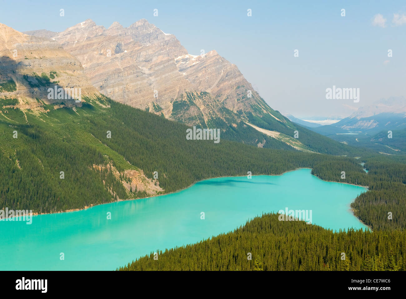 Le lac Peyto, dans le parc national Banff, Alberta, Canada. La farine ...