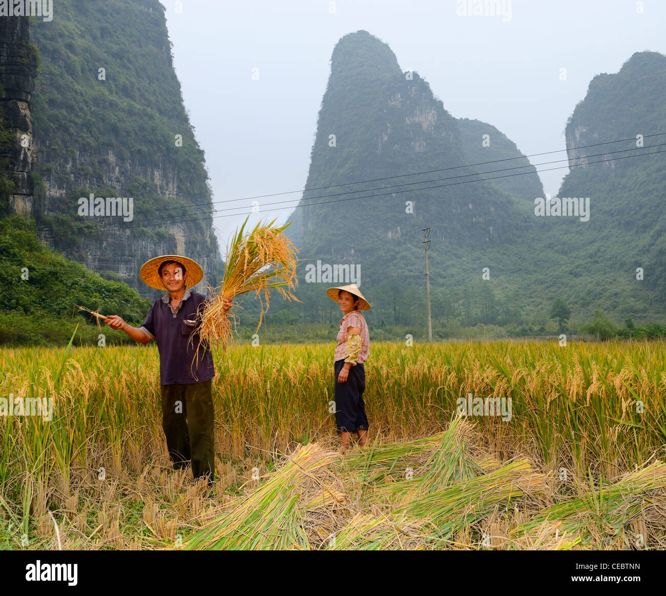 Hand sickle Banque de photographies et d’images à haute résolution - Alamy
