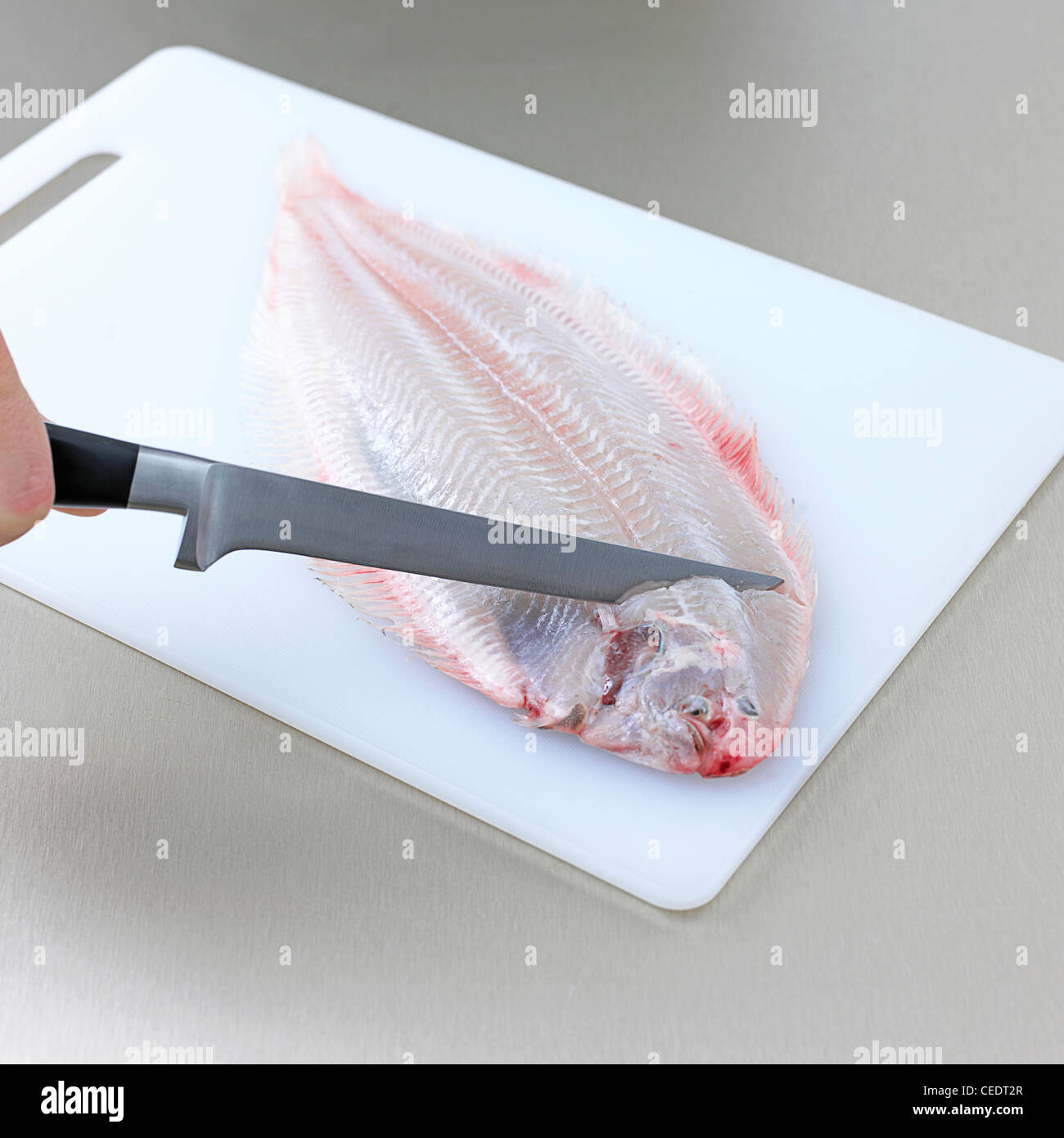 Filleting sole Banque de photographies et d’images à haute résolution ...