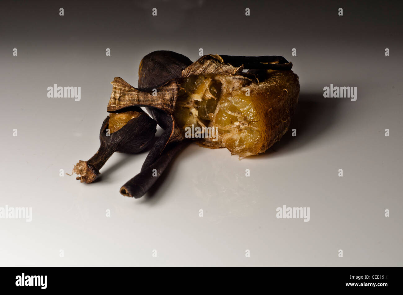 Banana decomposition Banque de photographies et d’images à haute ...