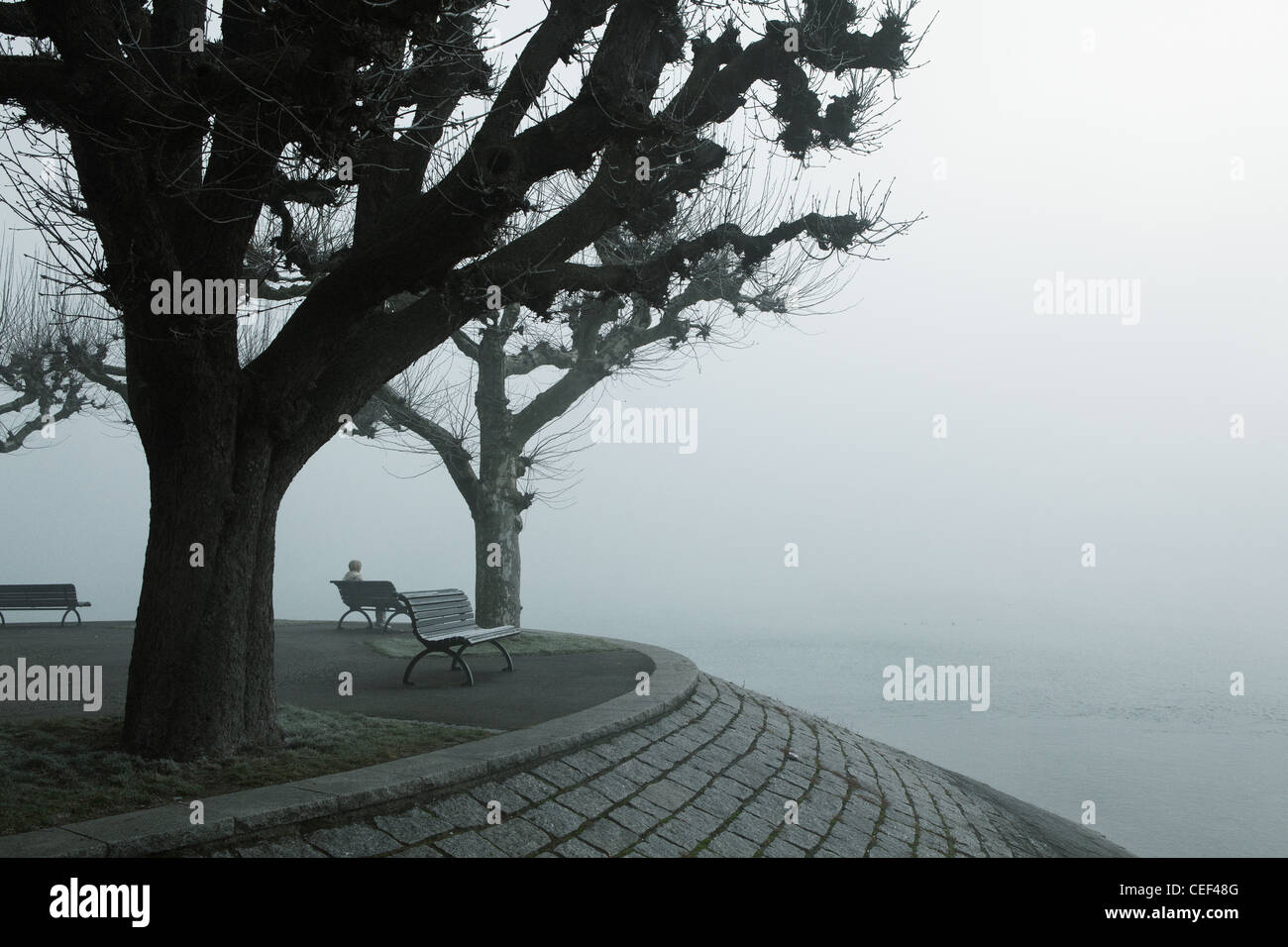 Personne solitaire est assis sur un banc,Lac de Constance, Constance ...