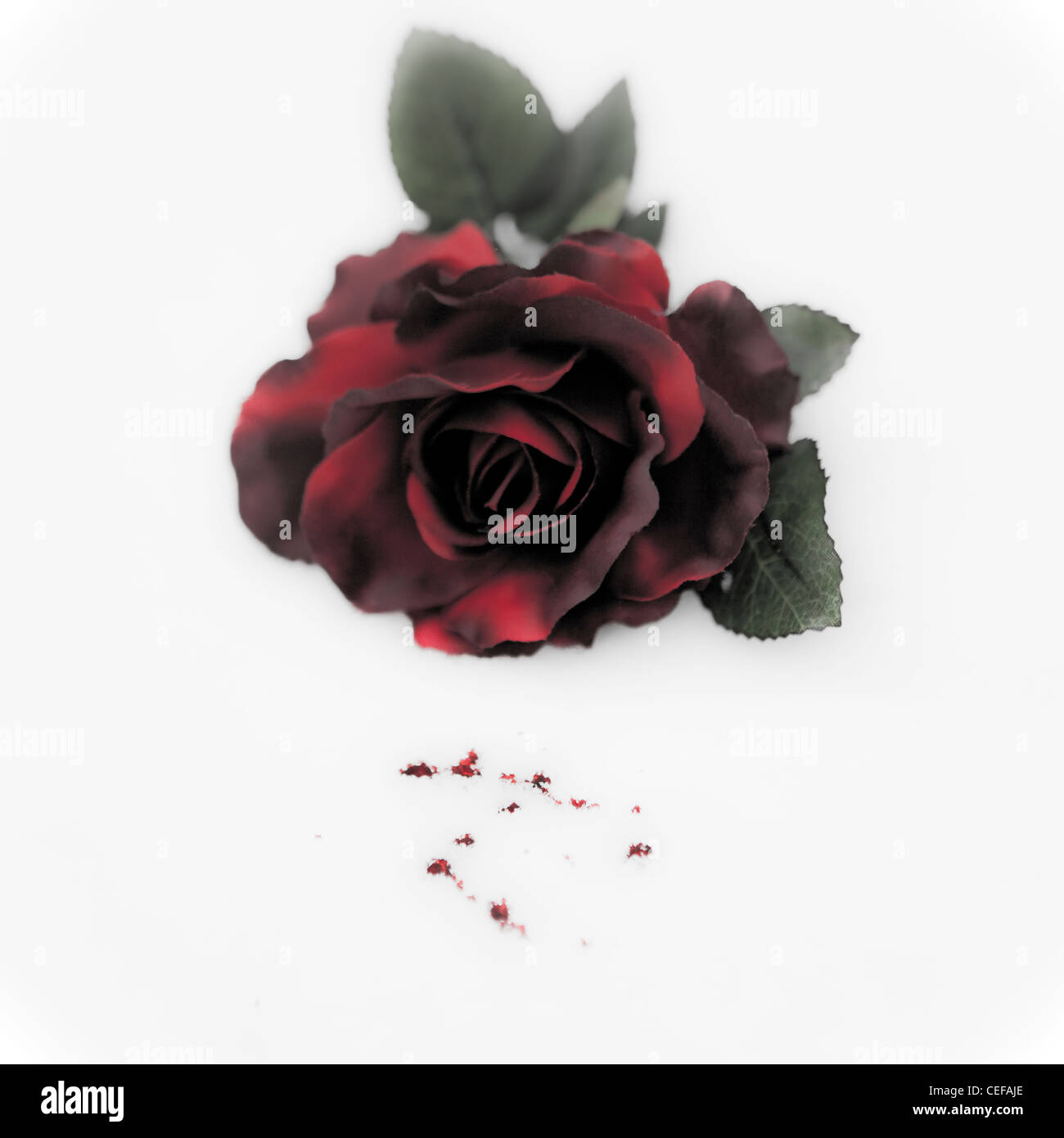 Blood drops Banque de photographies et d’images à haute résolution - Alamy