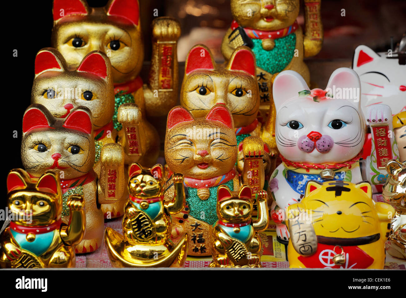 Chat chinois Banque de photographies et d’images à haute résolution - Alamy