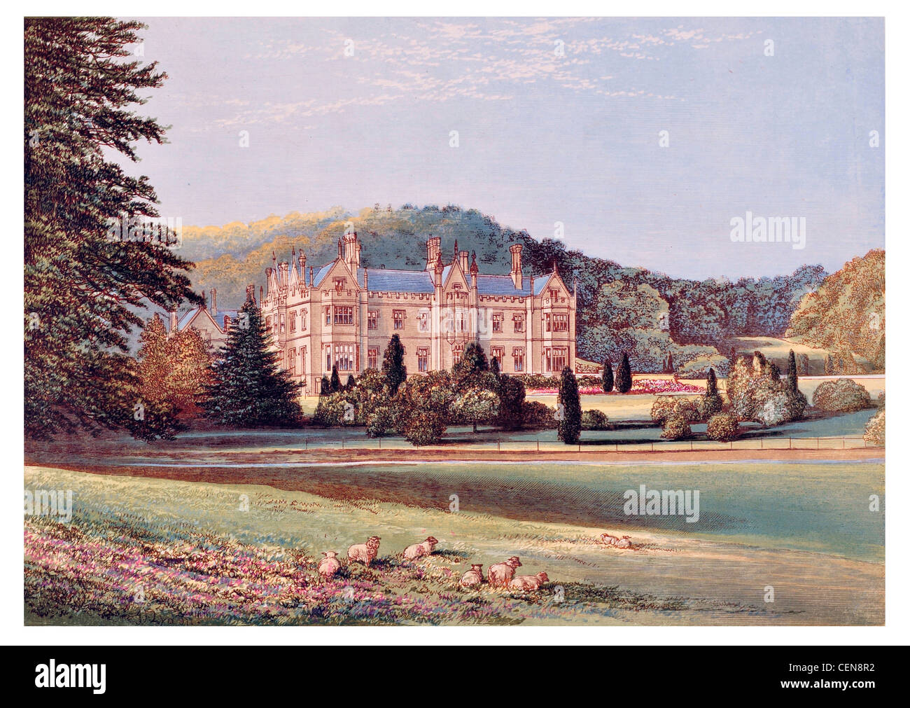 Mamhead park Banque de photographies et d’images à haute résolution - Alamy