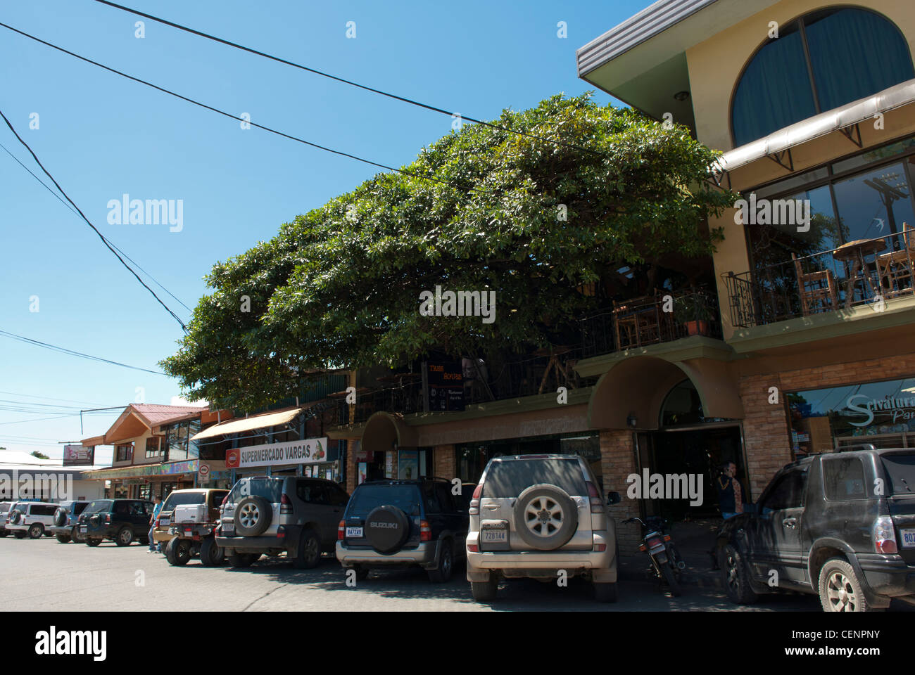 Tree house costa rica restaurant Banque de photographies et d’images à ...