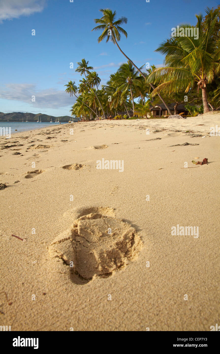 Empreinte palmaire Banque de photographies et d’images à haute ...