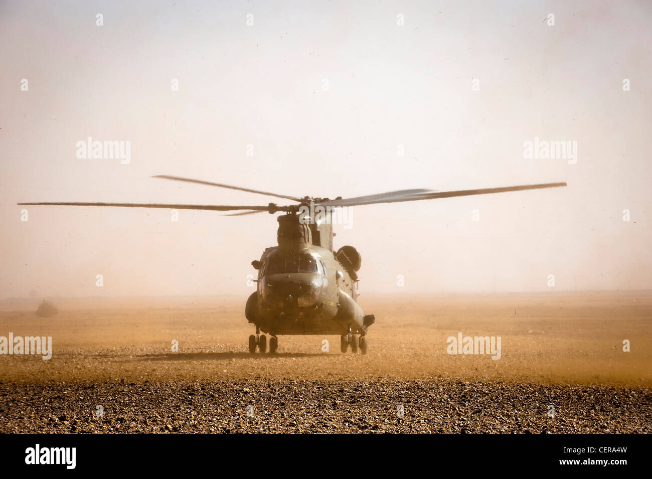 Des hélicoptères Chinook de la RAF sur les manoeuvres en désert ...