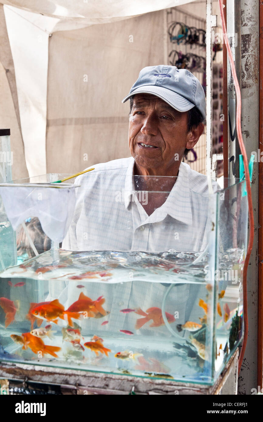 Poisson rouge mexicain Banque de photographies et d’images à haute ...