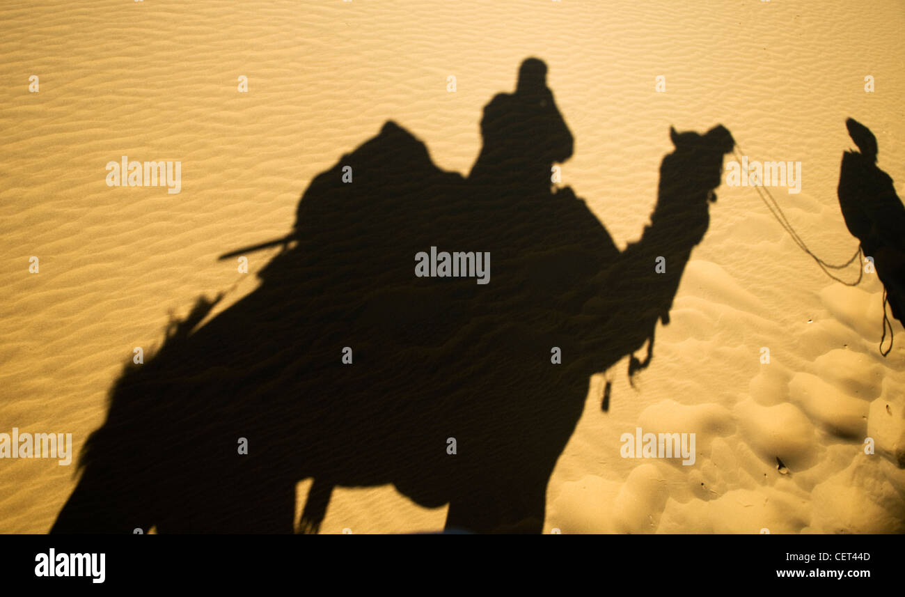 Ombre de chameau Banque de photographies et d’images à haute résolution ...