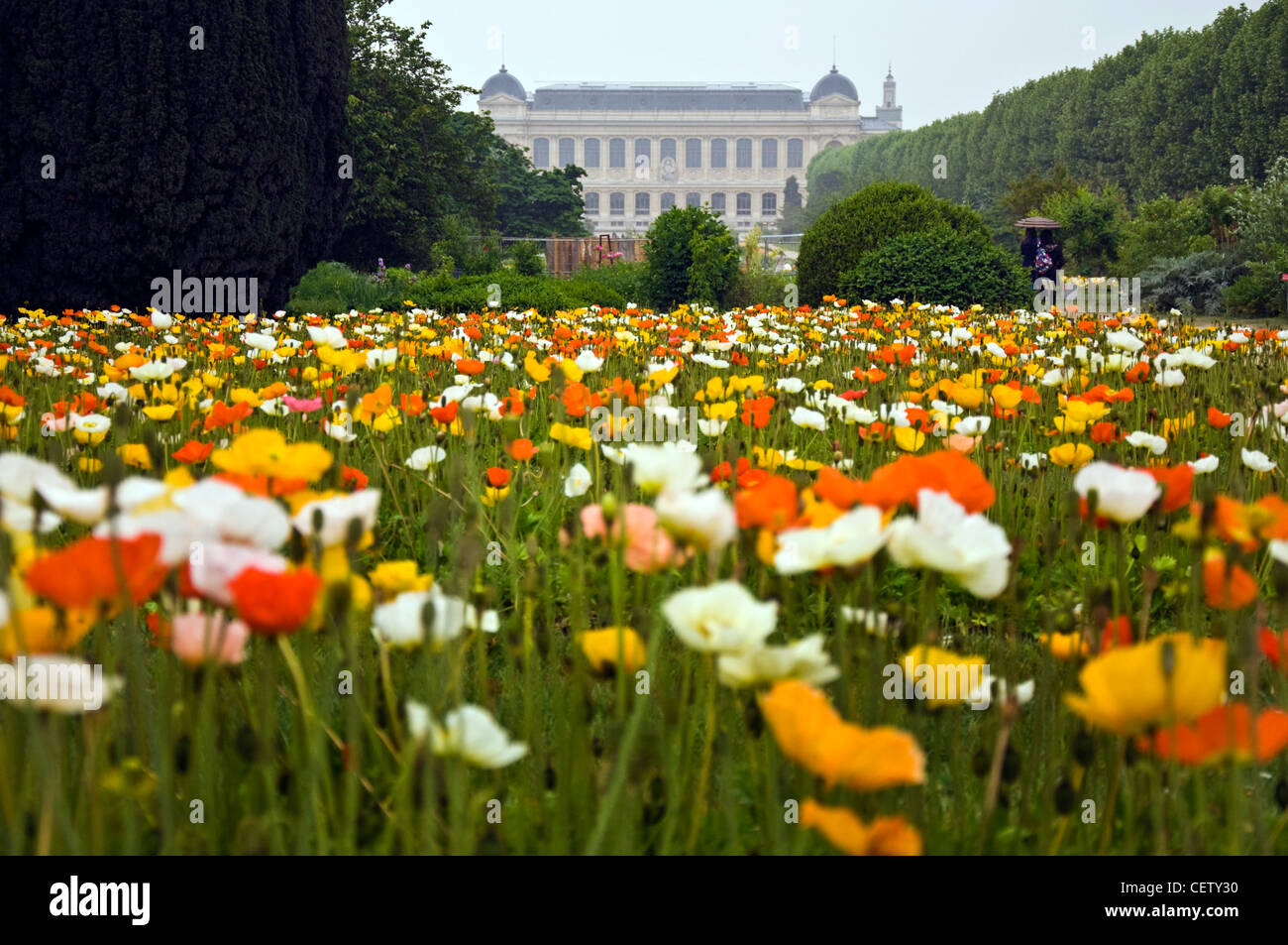 Jardin_des_plantes paris Banque de photographies et d’images à haute ...