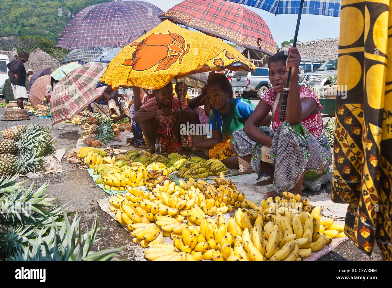 Fruits madagascar Banque de photographies et d’images à haute ...