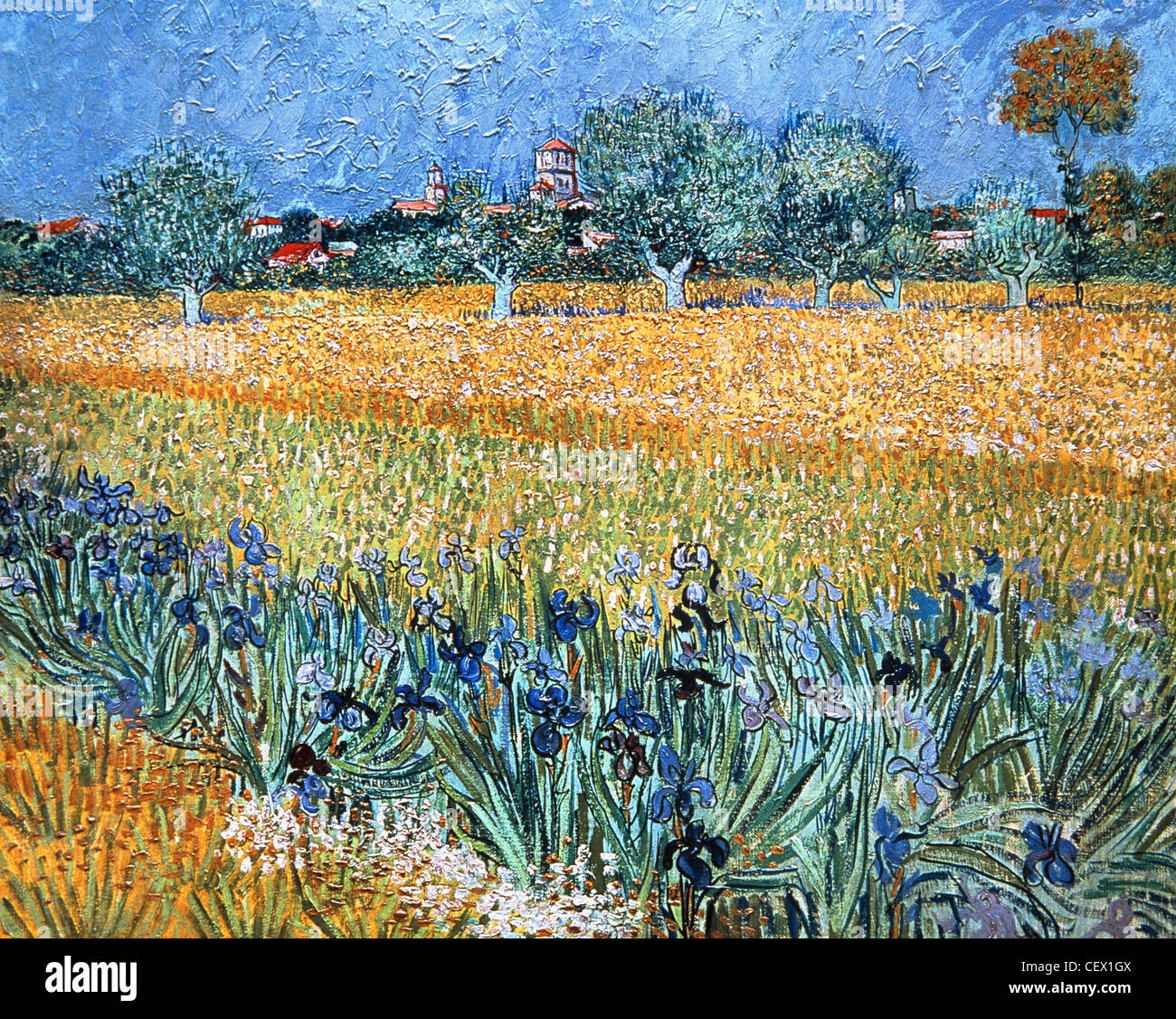 Vincent Van Gogh (1853-1890). Peintre hollandais. Domaine de fleurs ...