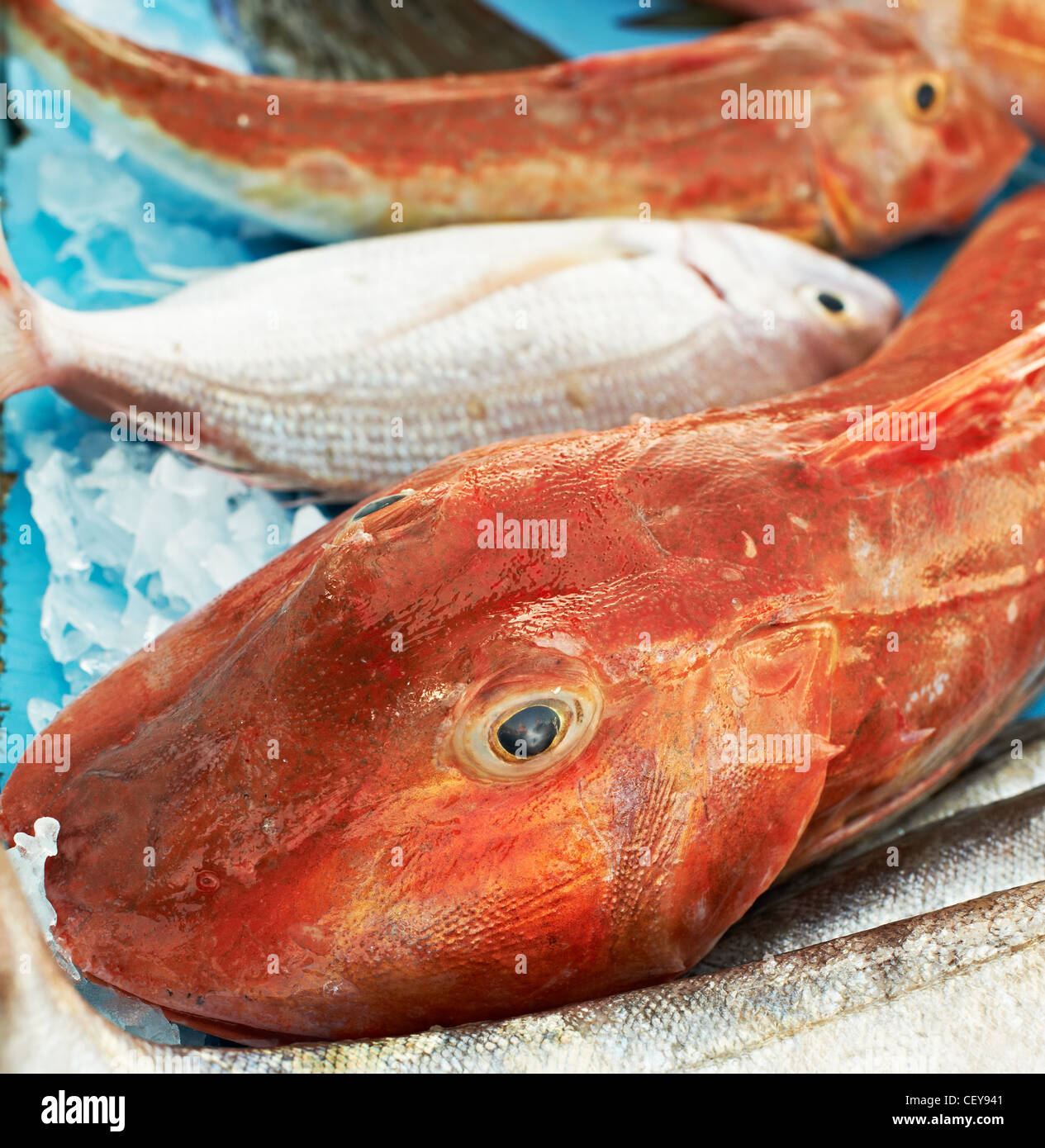 Marché au poissons marseille Banque de photographies et d’images à ...