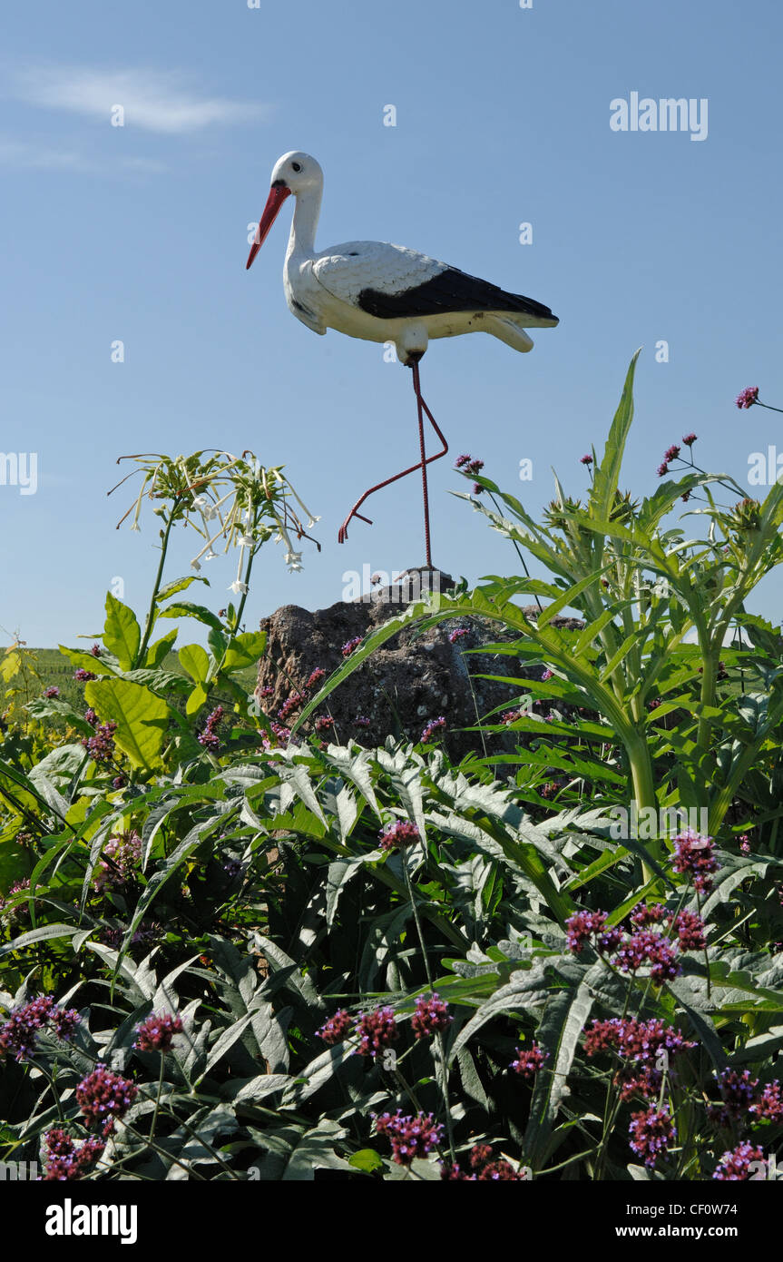 Modèle de Stork à Hunawihr dans le Haut Rhin (68) departement de France ...