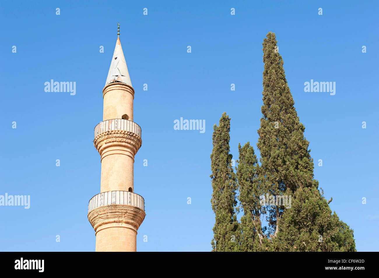 Chypre arbre Banque de photographies et d’images à haute résolution - Alamy