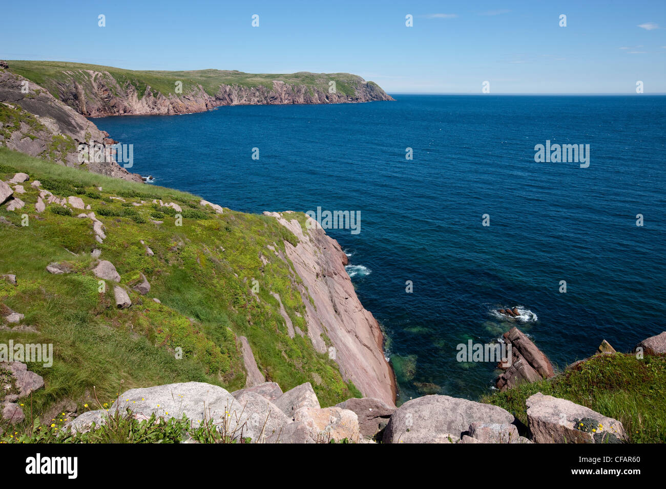 Mer Labrador Banque d'image et photos - Alamy